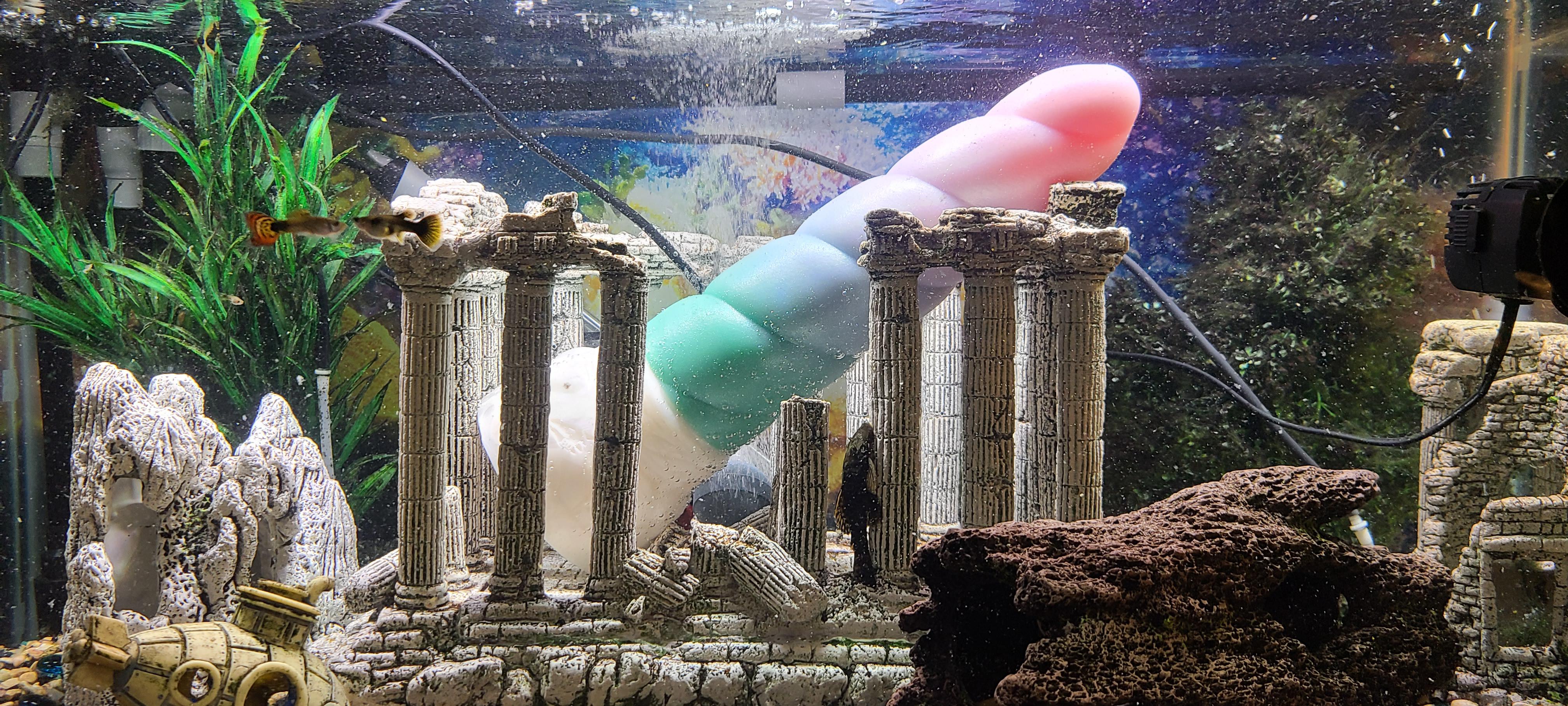 Unicornhorn 🦄 temple lost to the world 500 bc | Scrolller