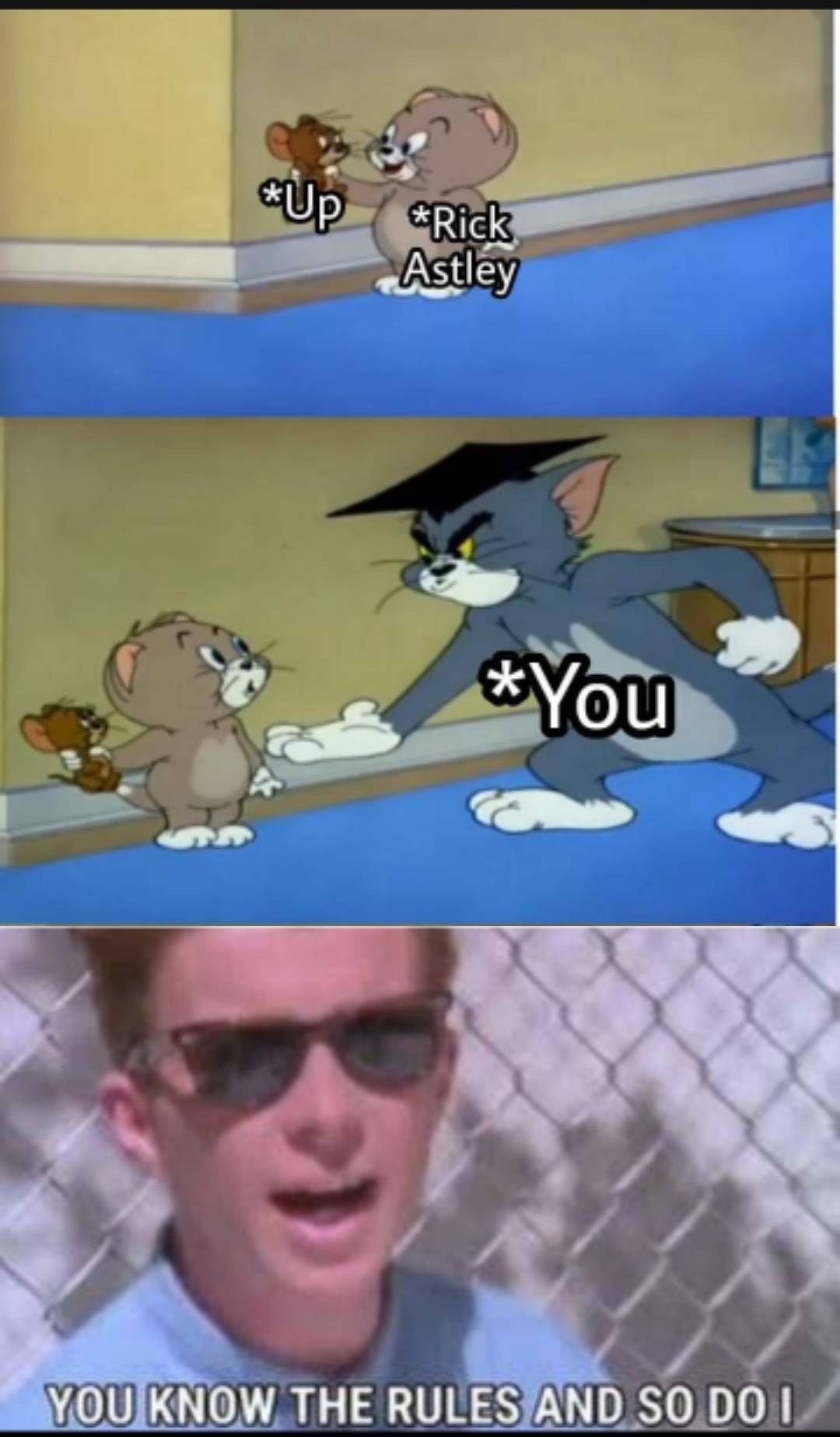 Universal rule | Scrolller