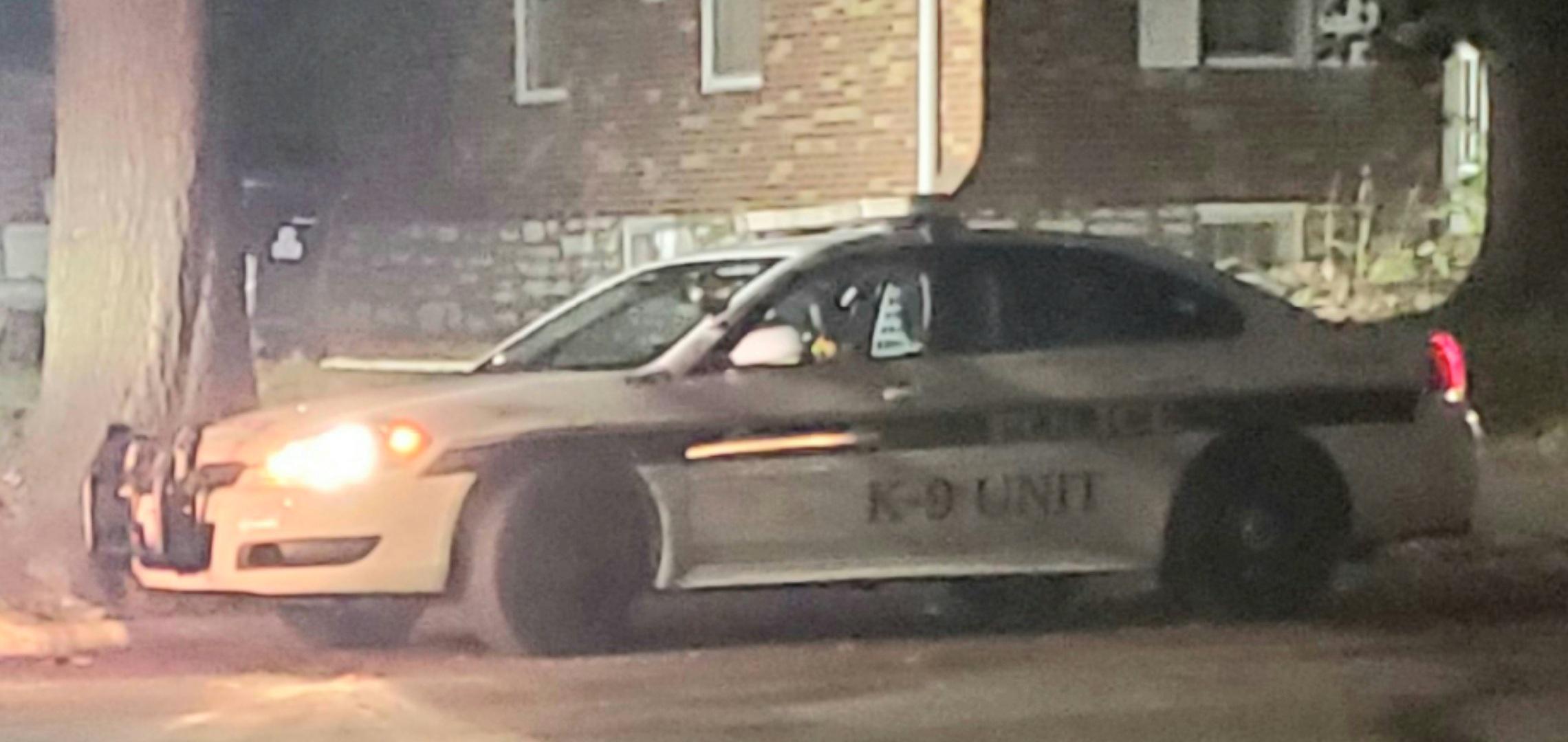 University City, Missouri police department k9 Chevy Impala | Scrolller