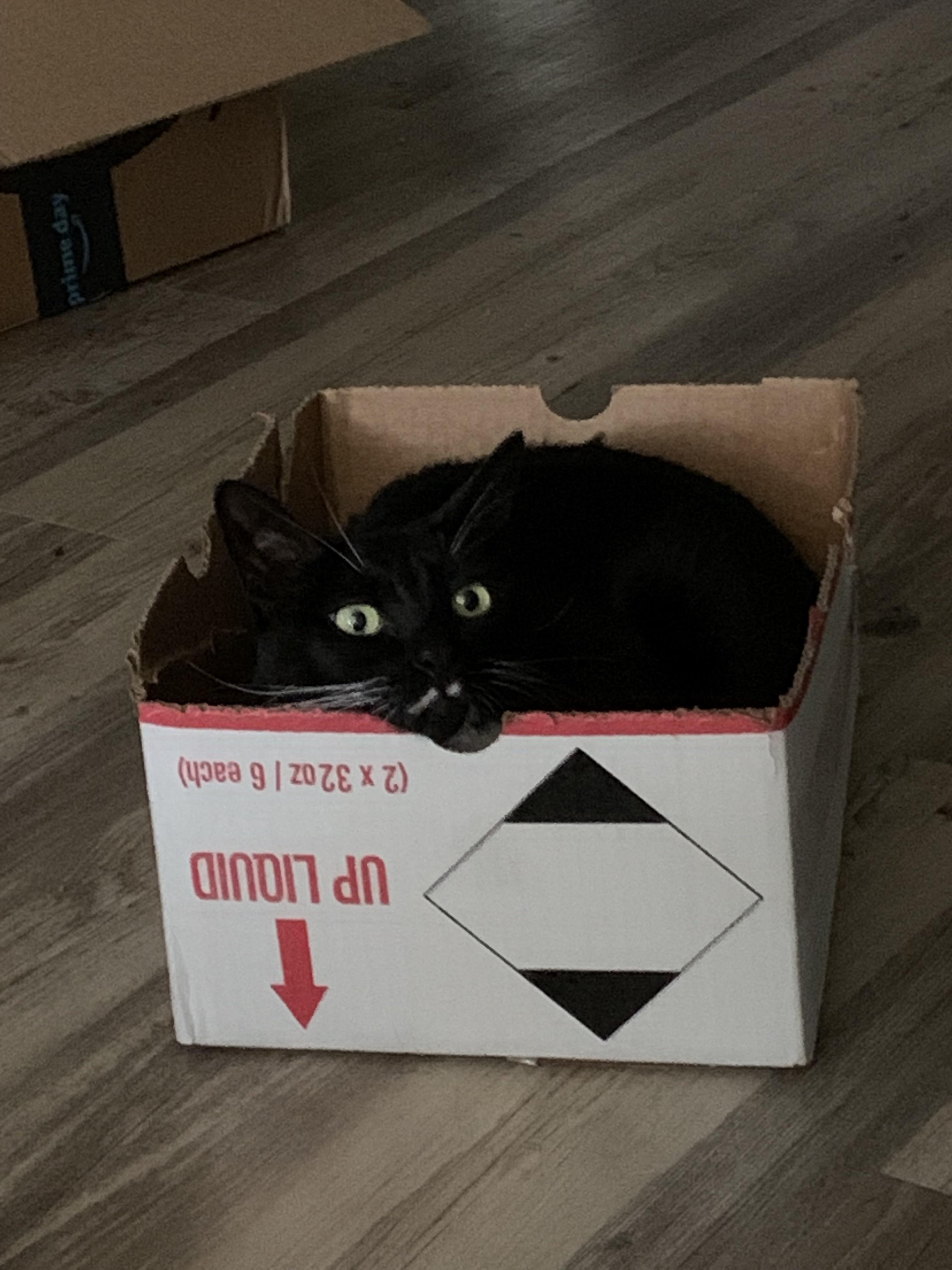 Up liquid | Scrolller