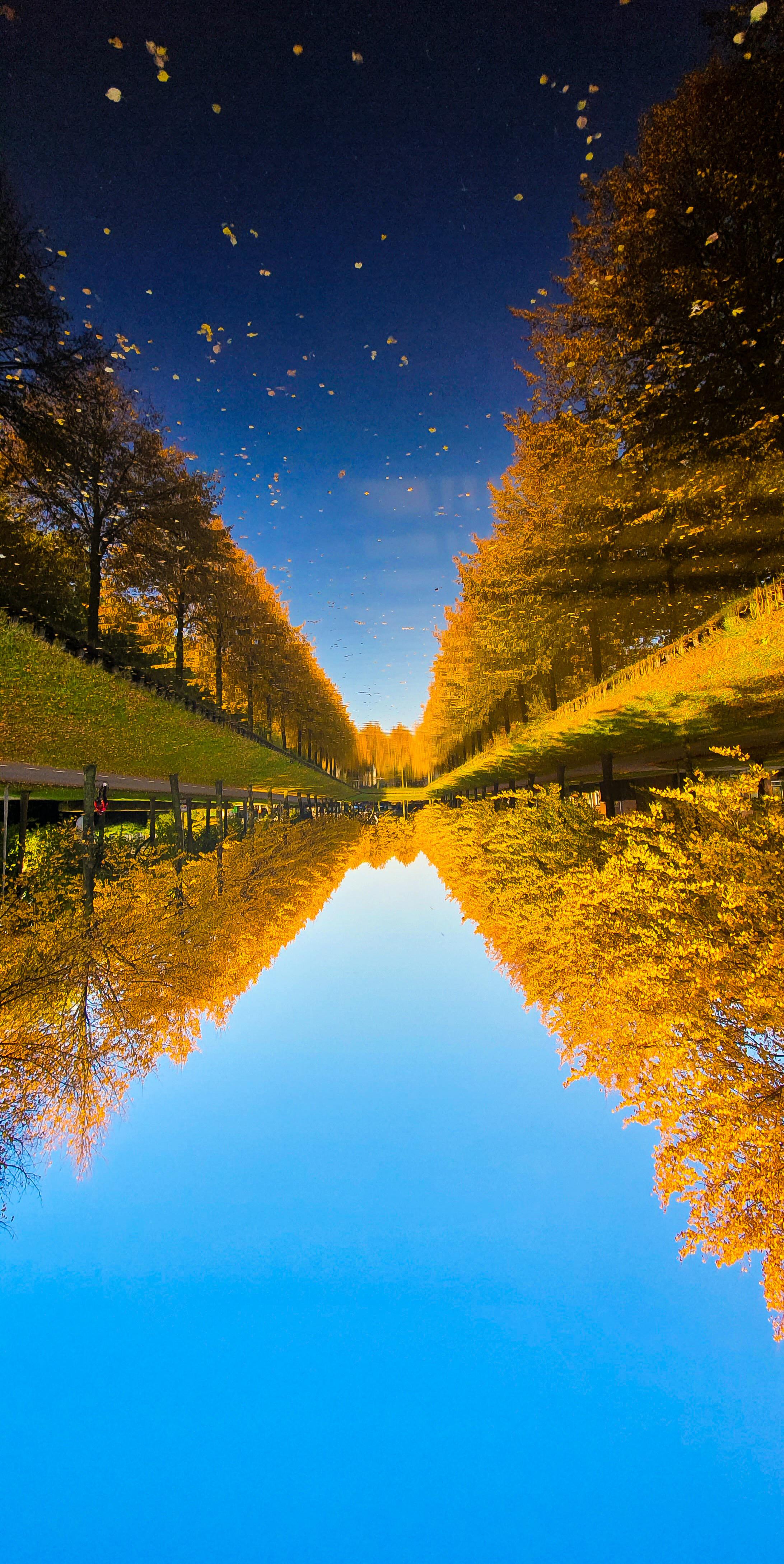 Upside-down symmetry | Scrolller