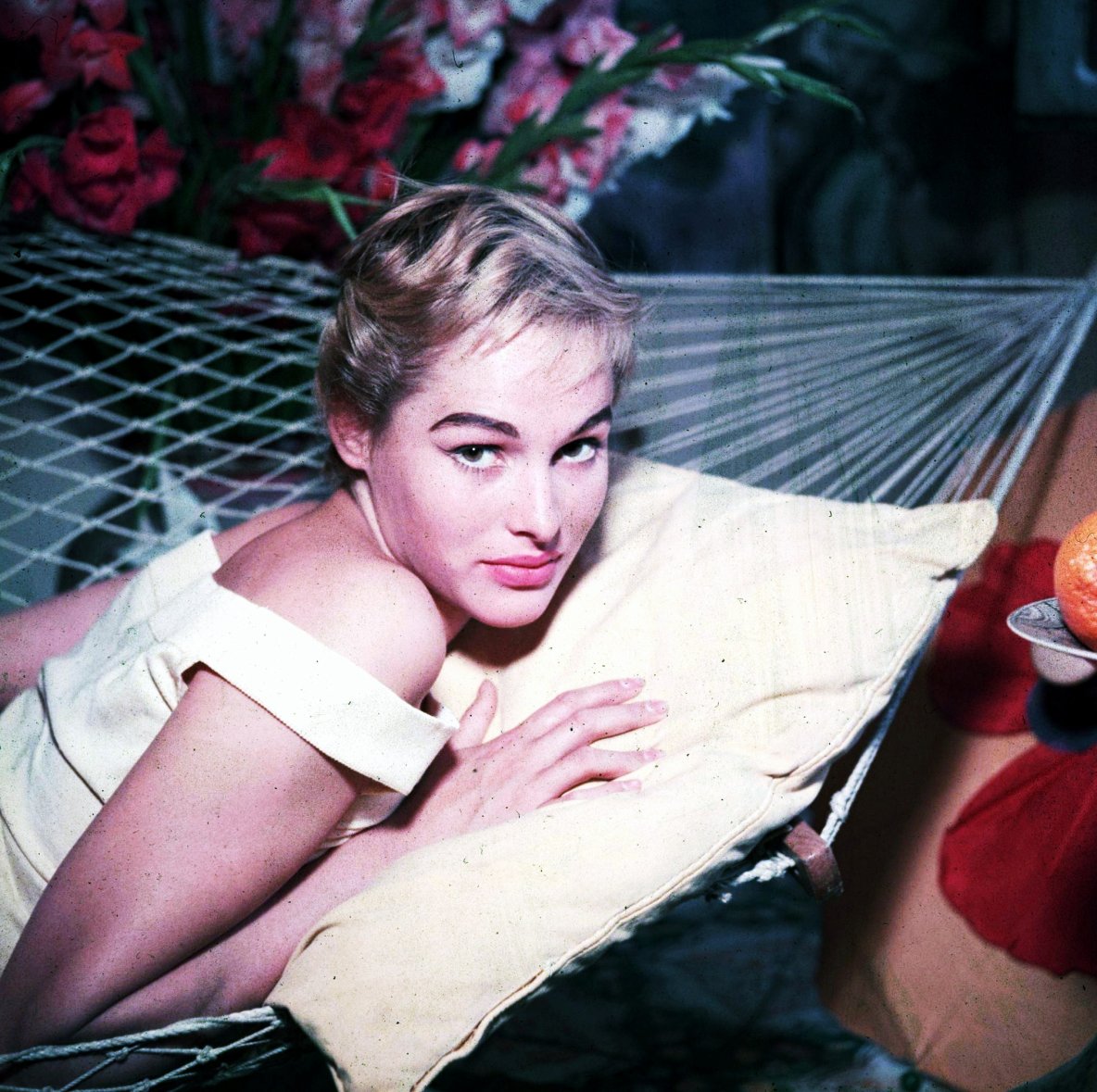 Ursula Andress | Scrolller