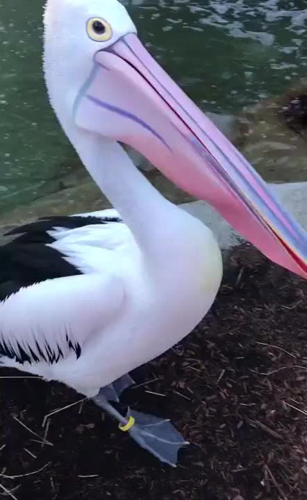 Us in 10 years | Scrolller