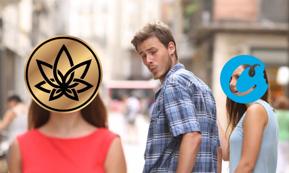 us since discovering delta 8 | Scrolller