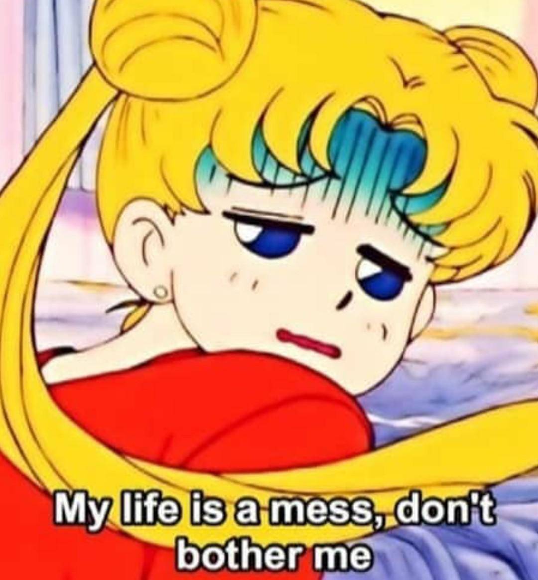 🌸 Usagi 🌸 | Scrolller