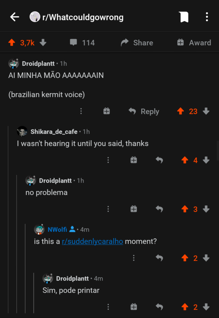 Vídeo BR no whatcouldgowrong | Scrolller