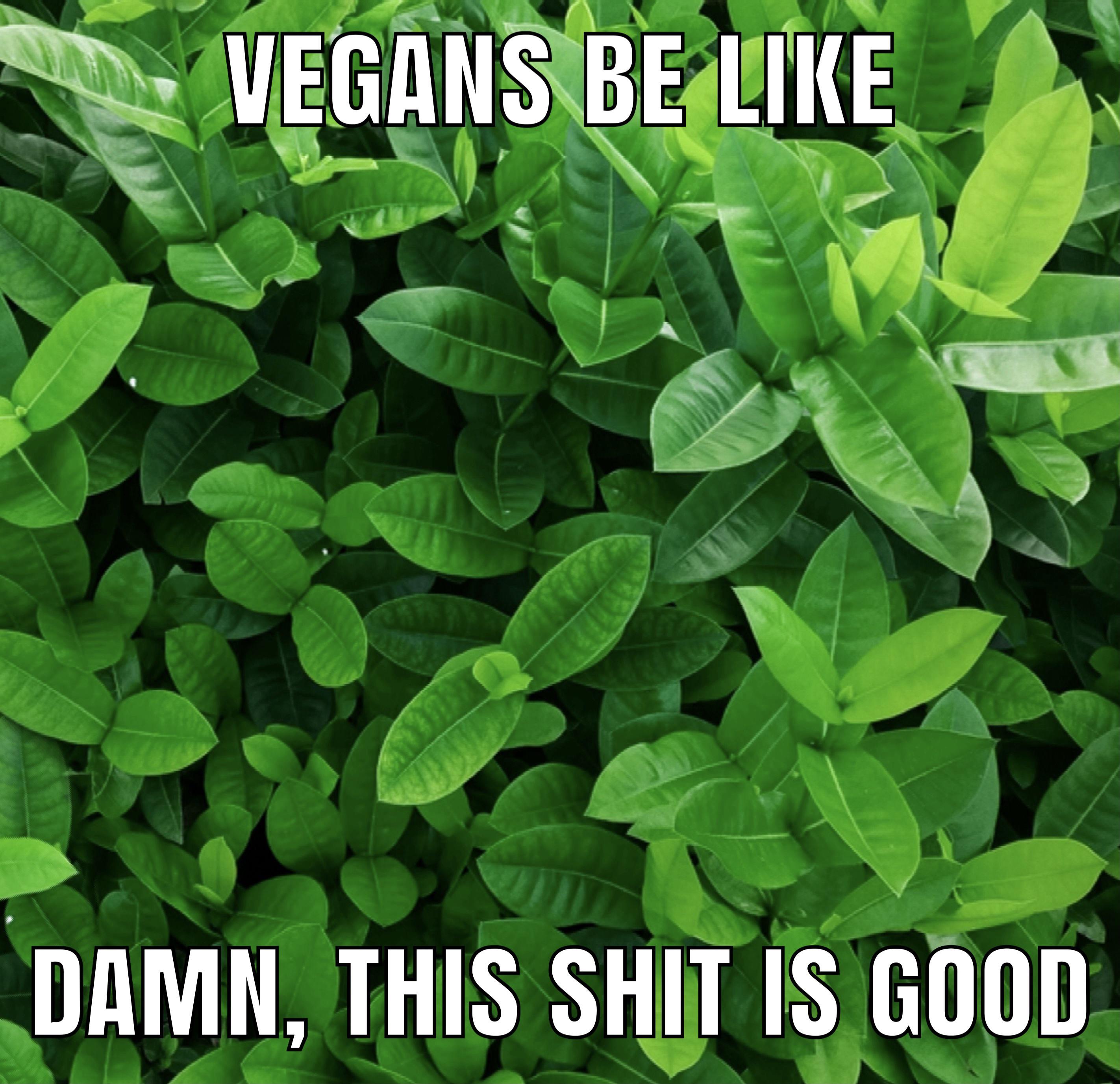 Vegan moment | Scrolller