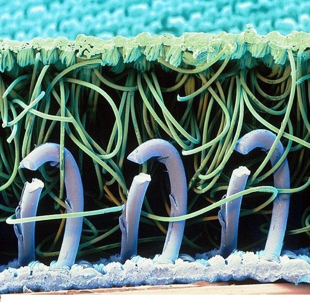 Velcro as seen under a microscope. | Scrolller