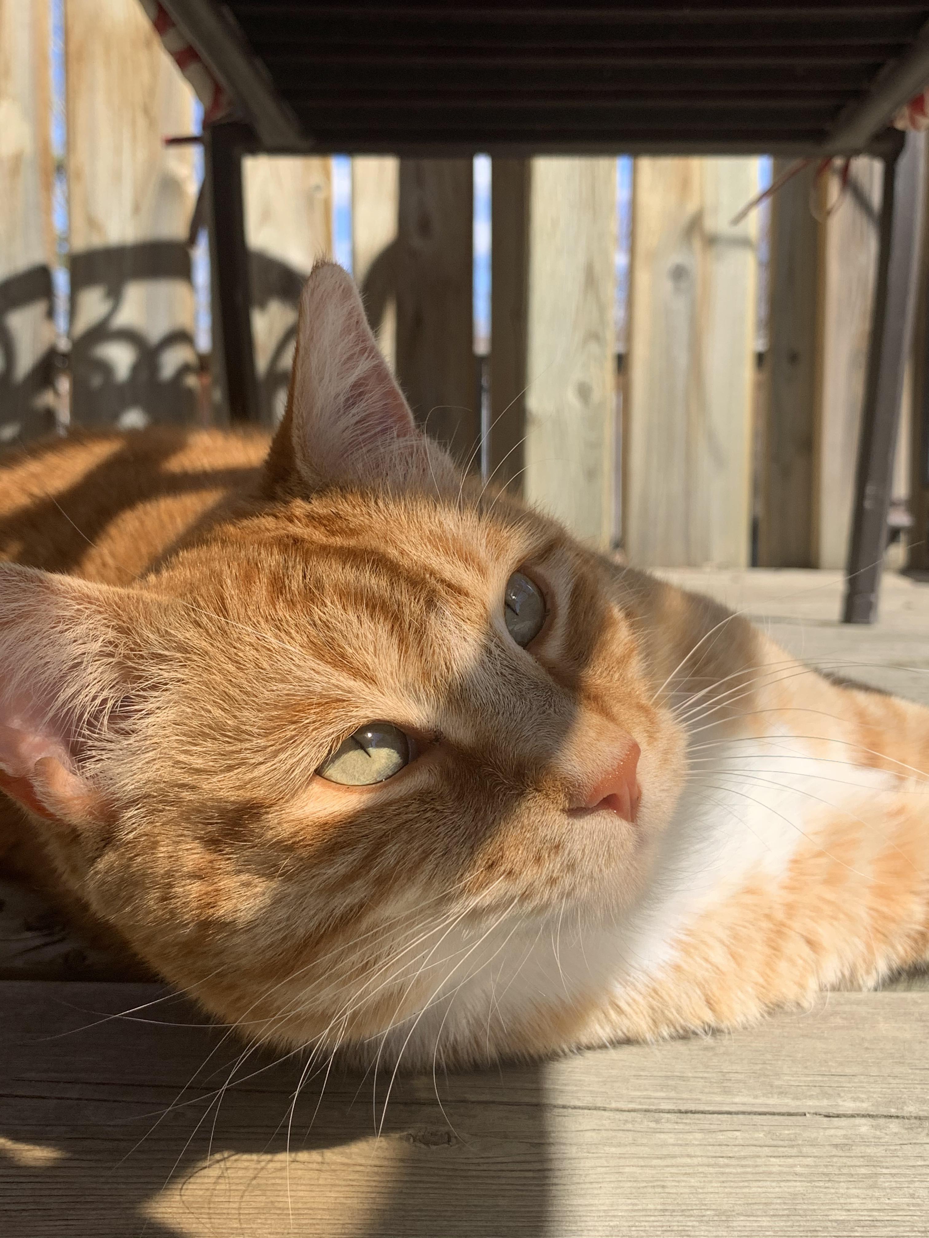 Very handsome model boy | Scrolller