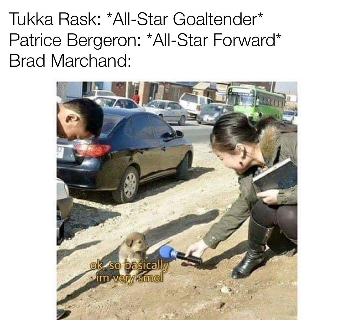 Very smol boi | Scrolller