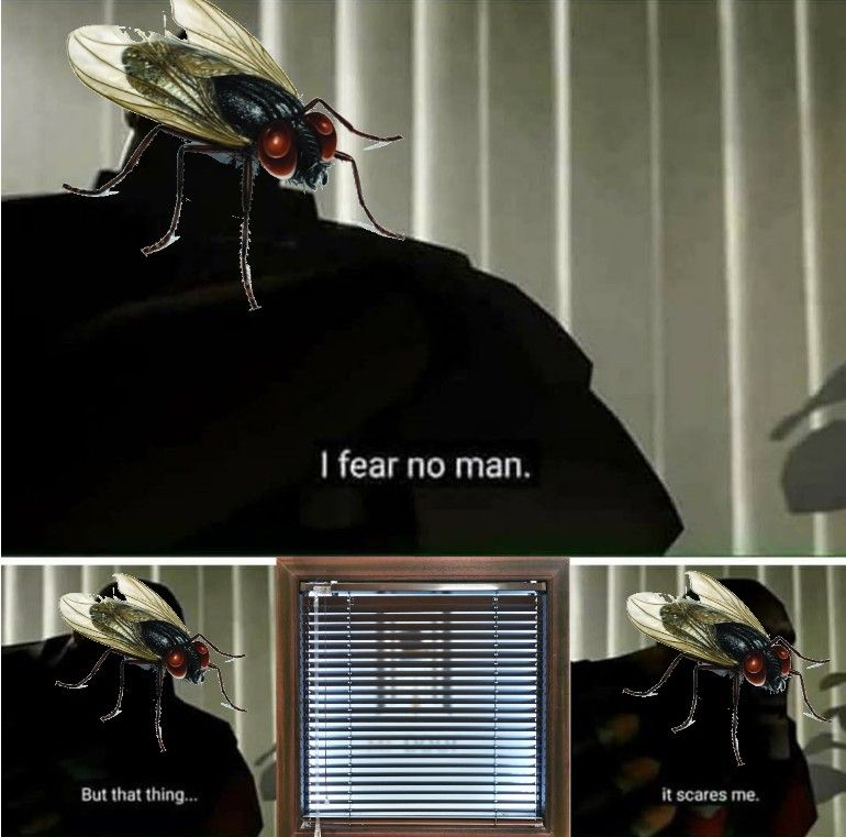 Very true | Scrolller