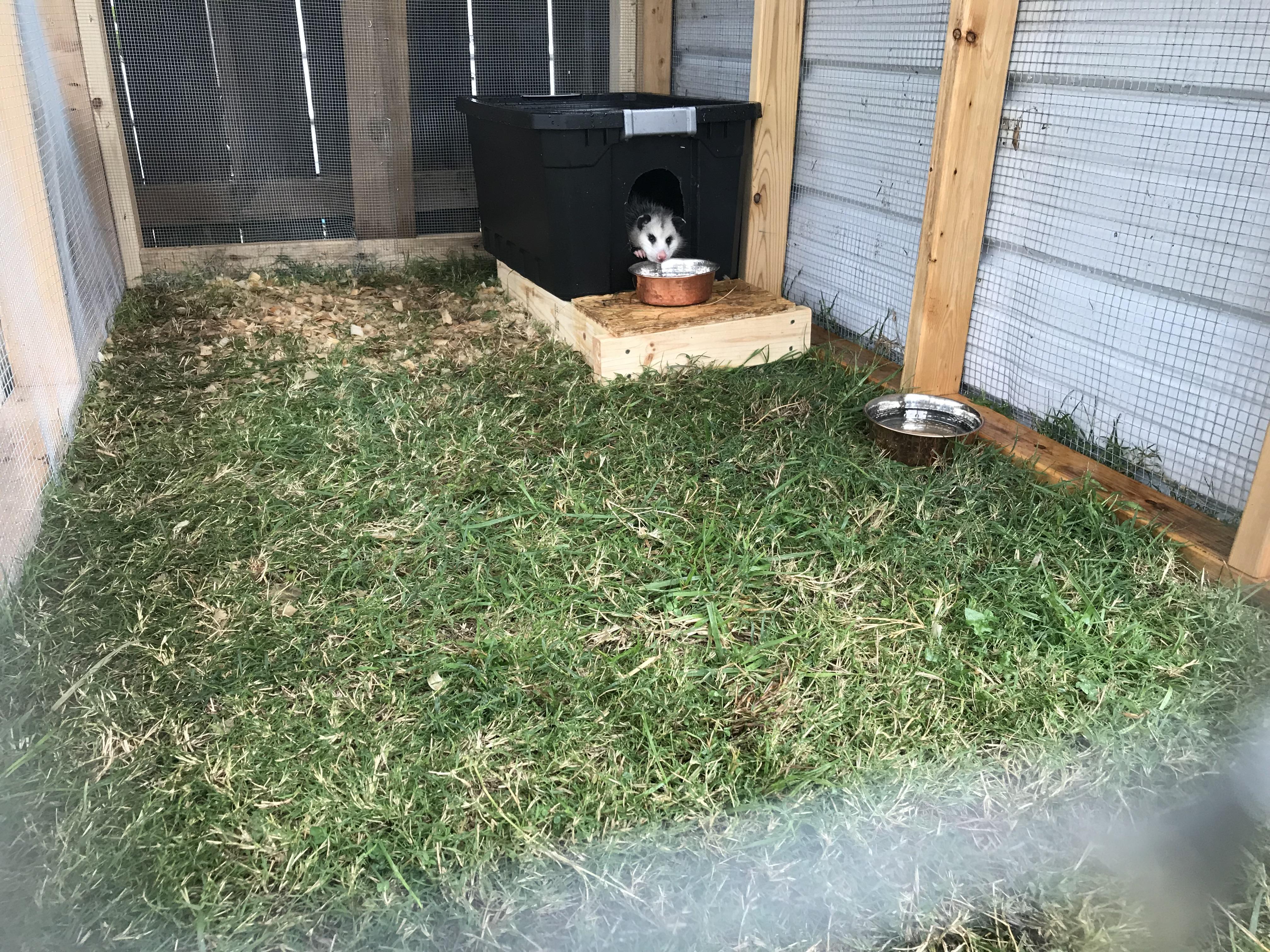 Violet monchin her breakfast | Scrolller