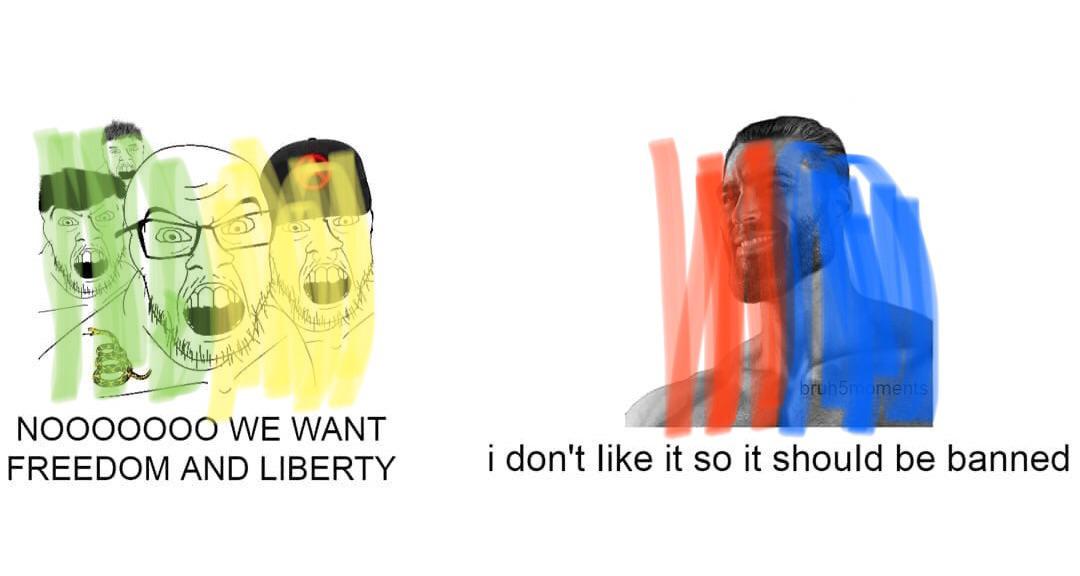 Virgin libs vs. Chad auths | Scrolller