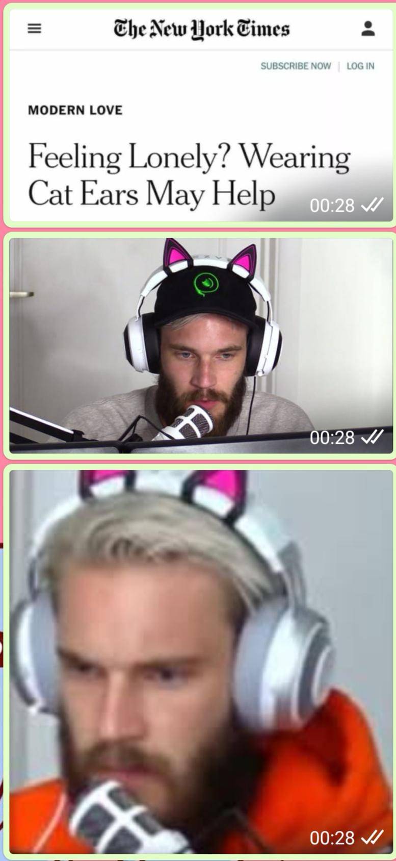 Virgin meme app user vs chad making memes in WhatsApp | Scrolller