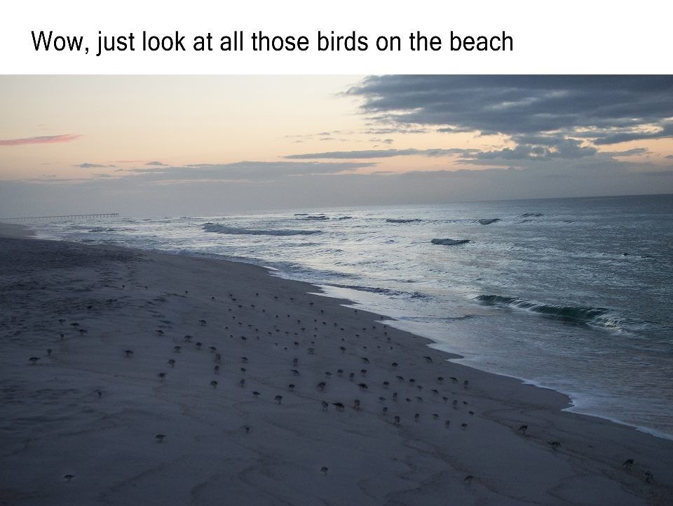 Visiting The Beach Scrolller 5842