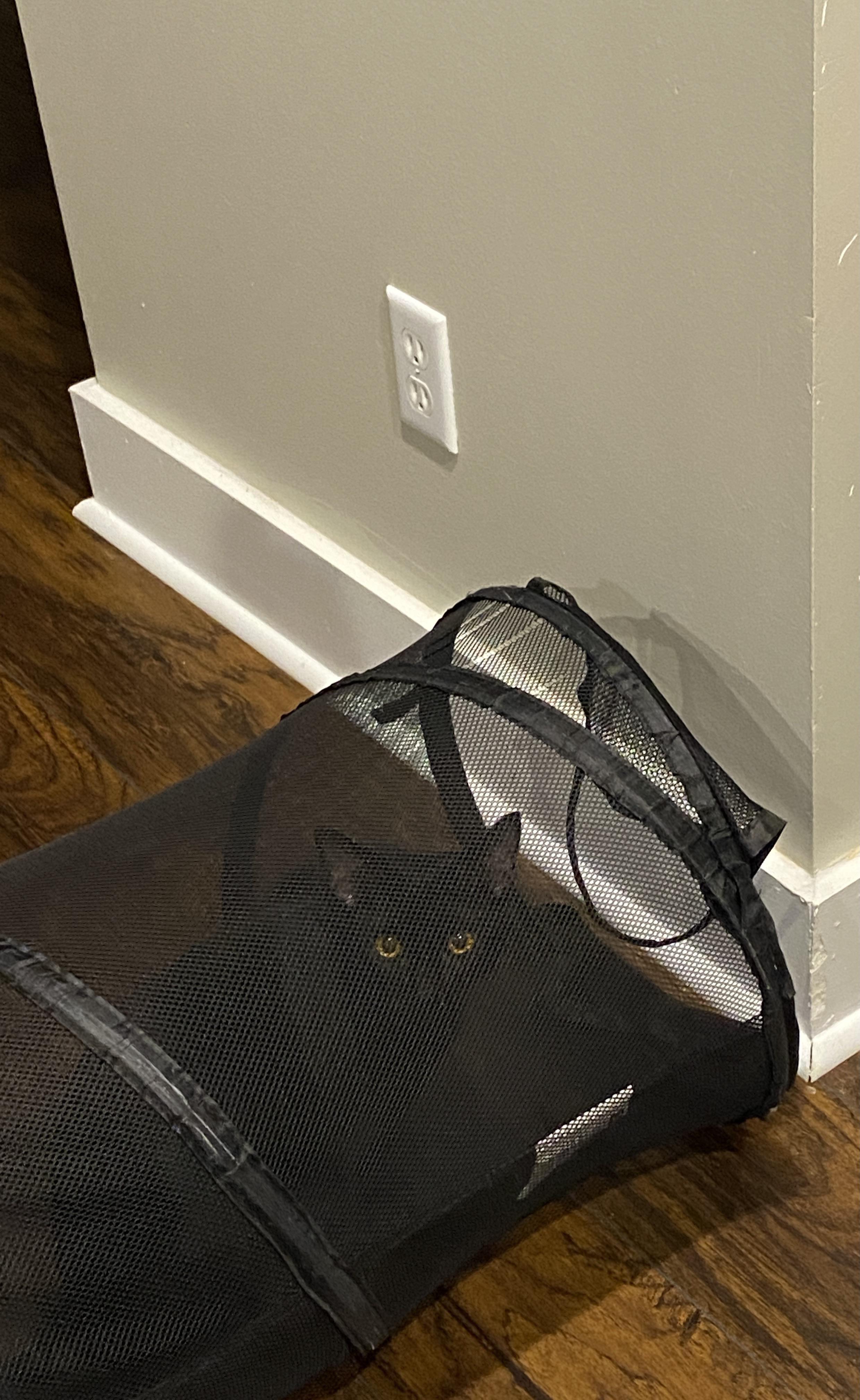 Void boi got into our hamper | Scrolller