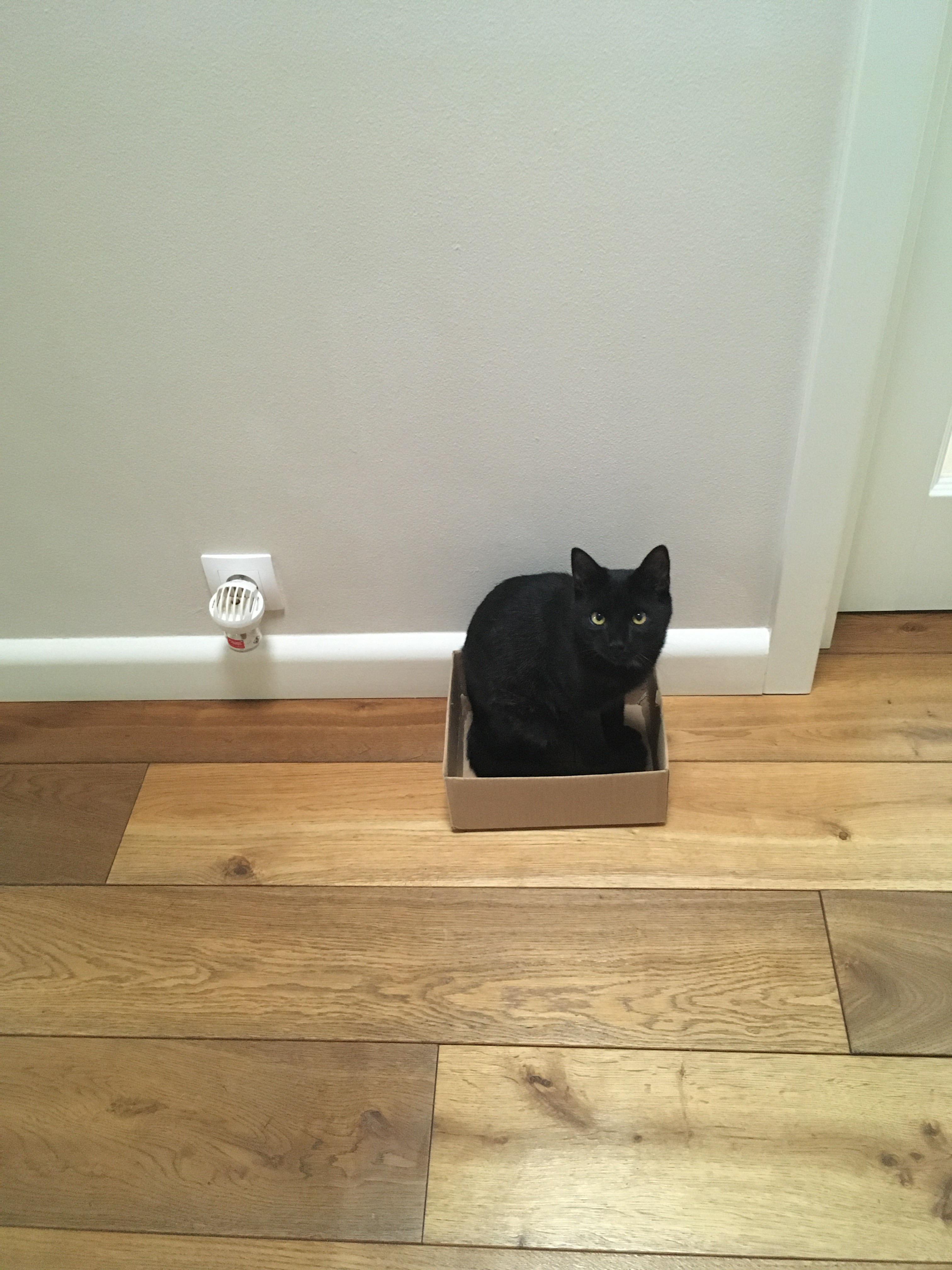 Void in a box | Scrolller