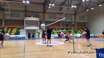 Volleyball using exercise balls | Scrolller