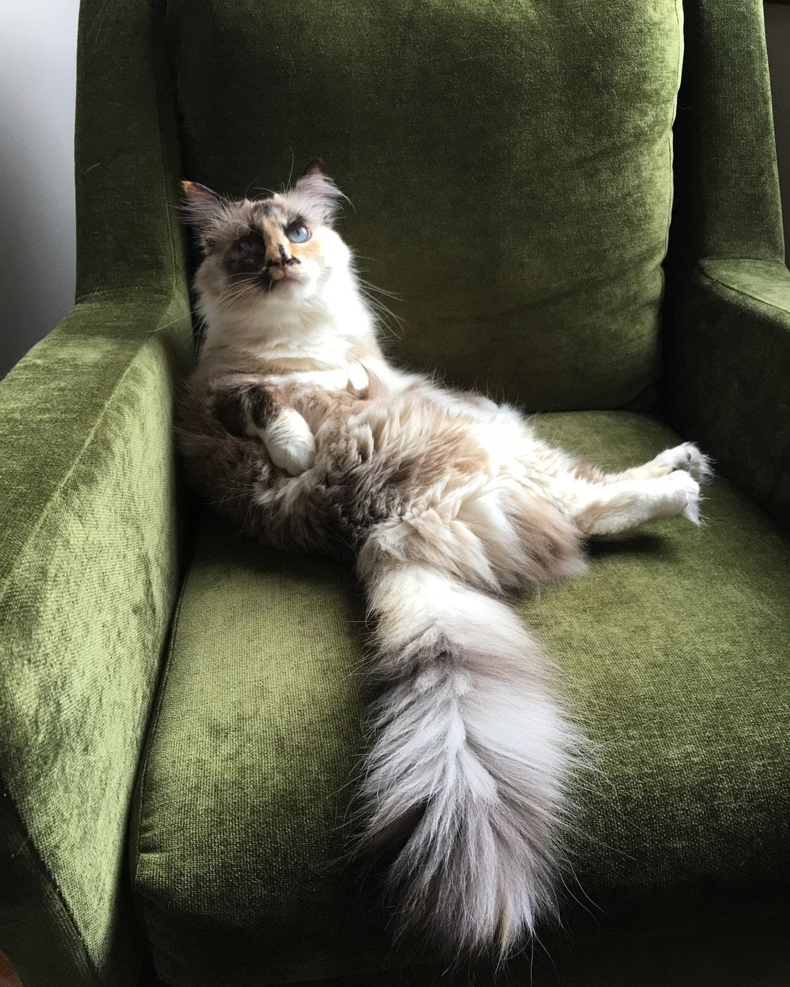 wake up babe new miette picture just dropped | Scrolller