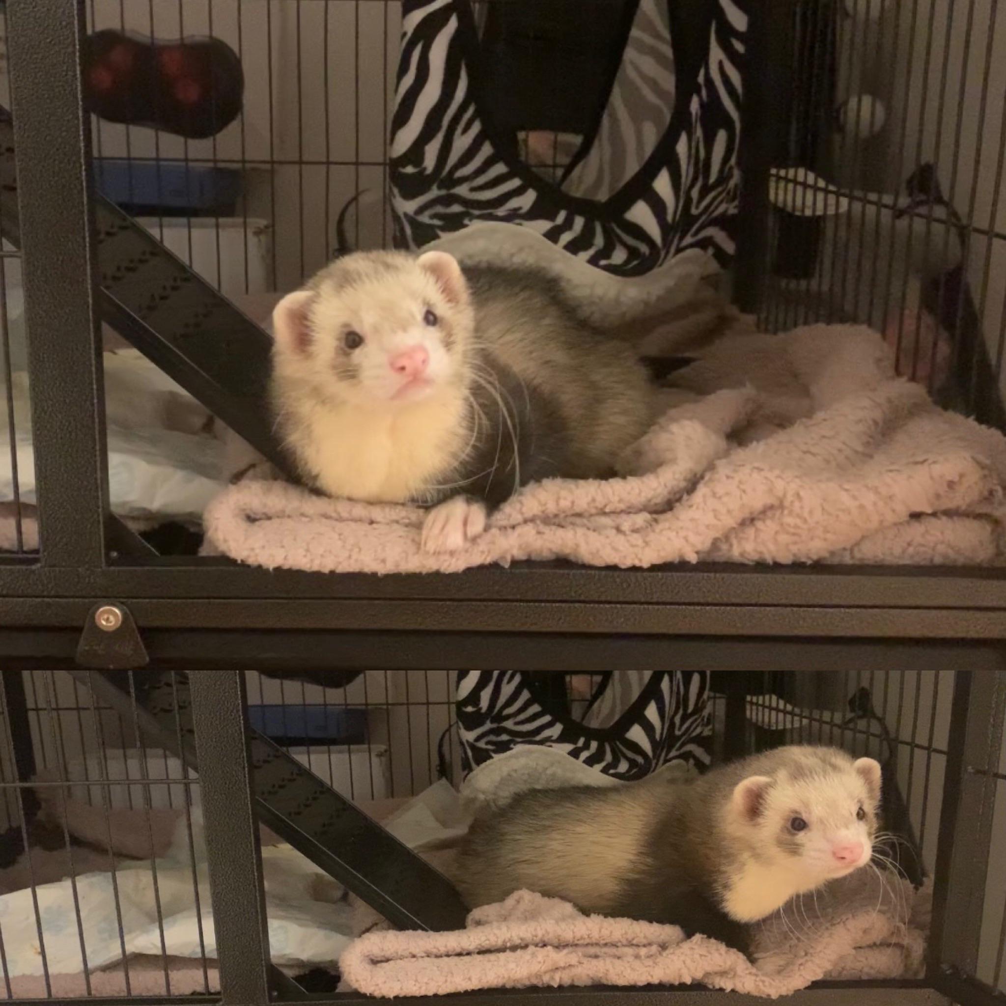 Wakey Wakey Rise and Shine | Scrolller