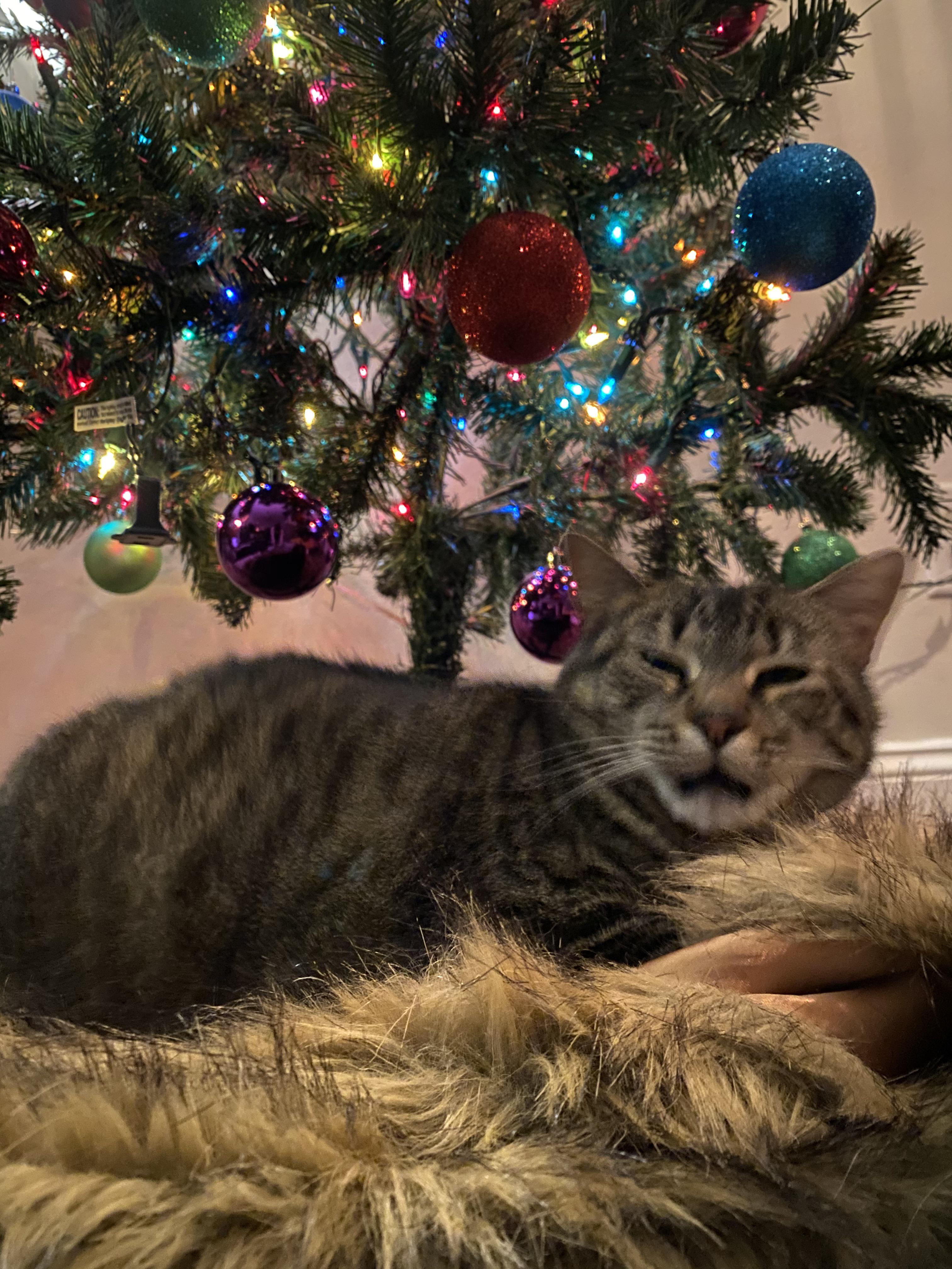 Waking up is hard. | Scrolller