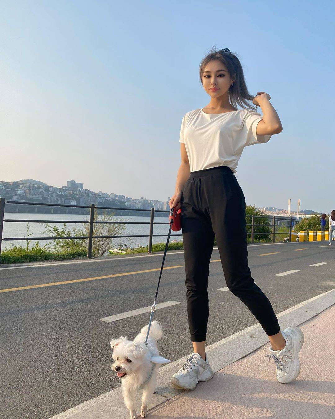 Walking the dog | Scrolller