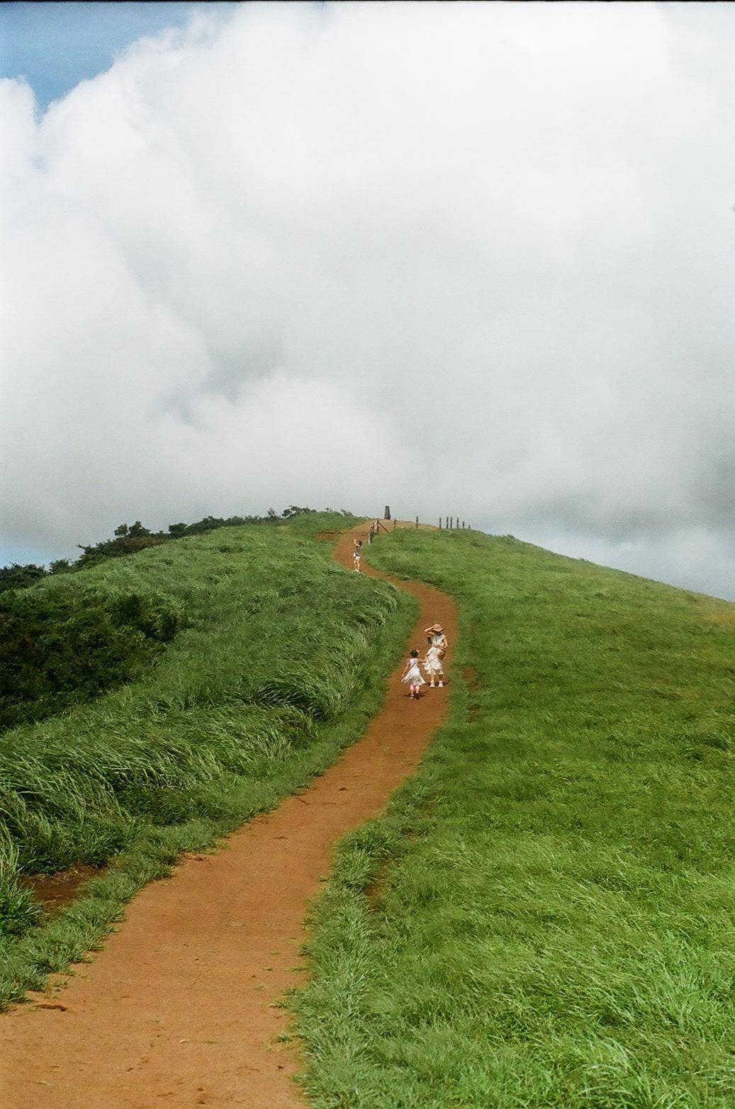Walking up Saebyeol Oreum, Jeju. [OC] [shot on film, Mamiya NC1000S & ColorPlus 200] | Scrolller