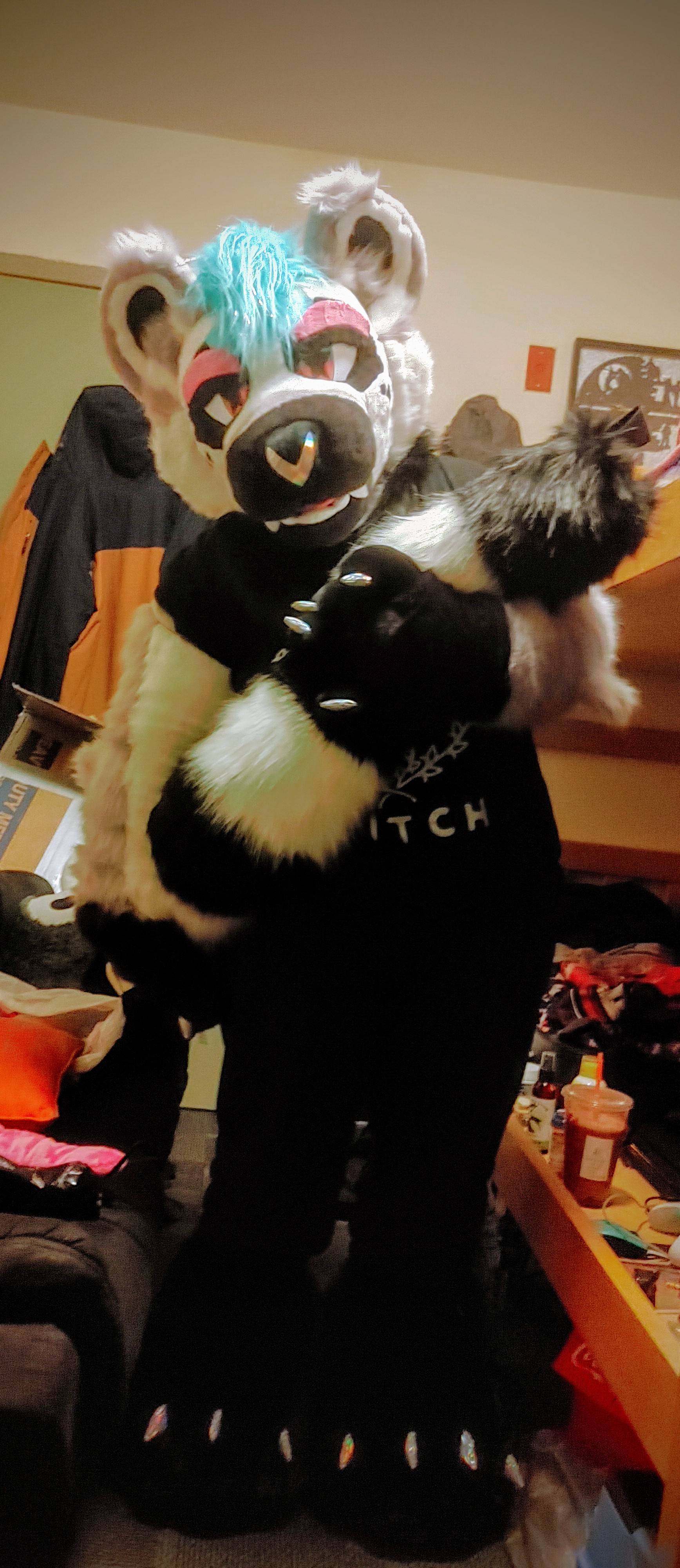 Wallace the lemur's first fursuit friday! He was made by SleepyStagSuits! | Scrolller