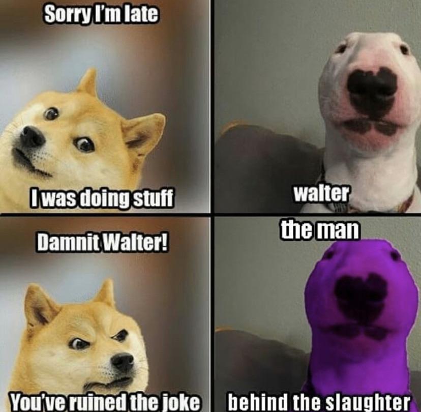 Walter!! | Scrolller