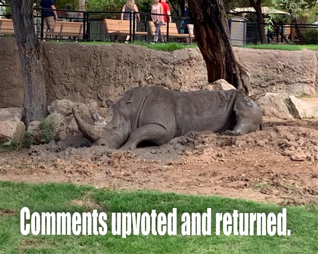 Wanna roll around in the mud? | Scrolller