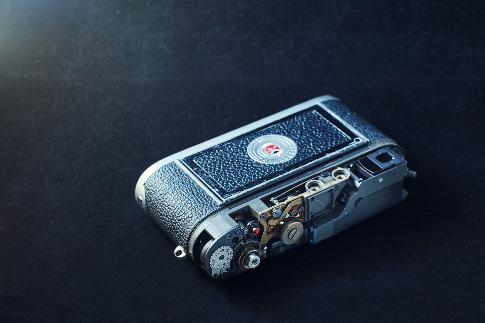 Wanna see a topless fifty-year-old? | Scrolller