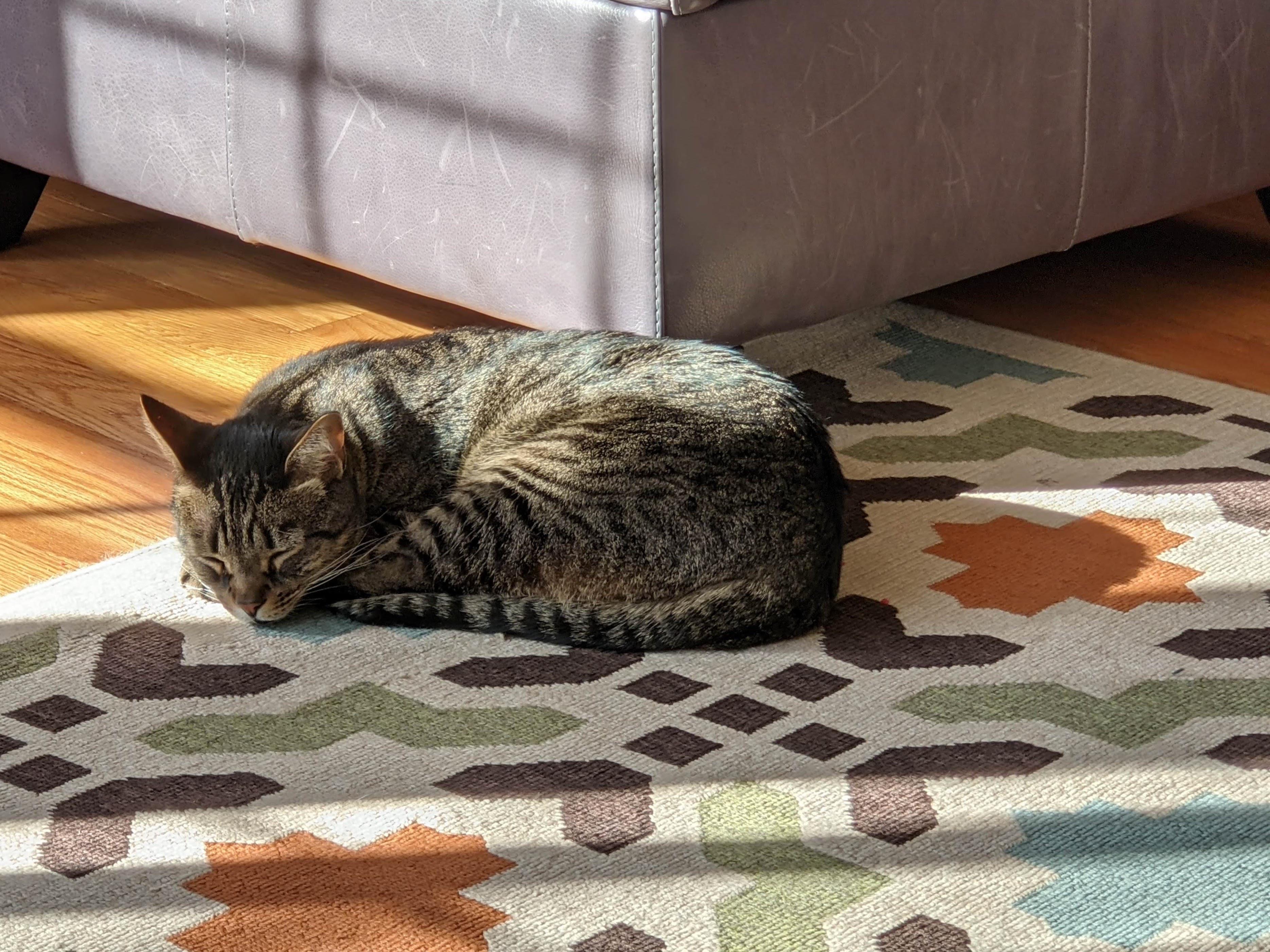 Warm sunbeam on a cold winter's day | Scrolller