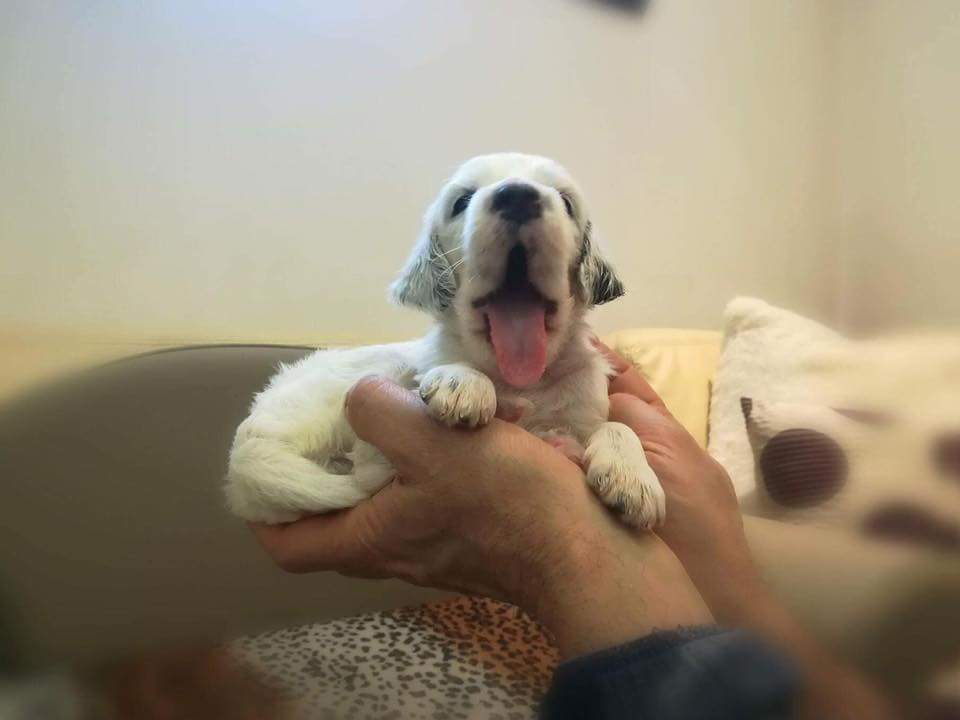 WARNING. CUTE OVERLOAD!!! | Scrolller