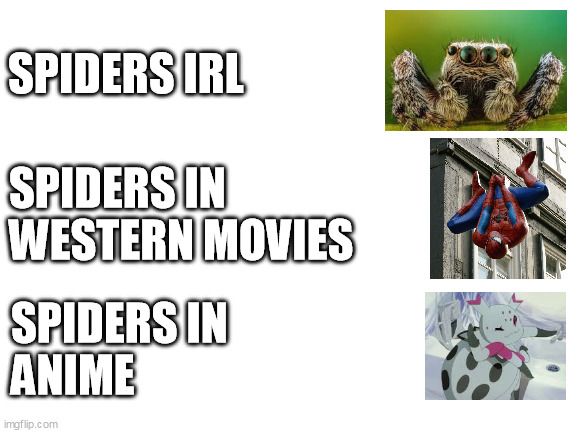 Warning: image contains spiders | Scrolller