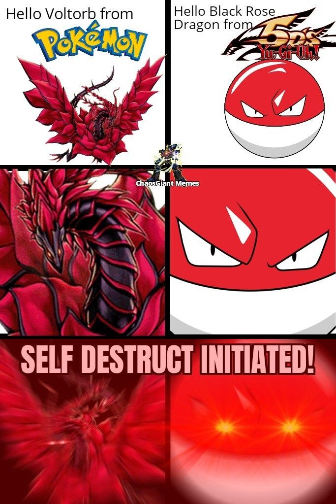 *WARNING* SELF DESTRUCT IN ONE SECOND! | Scrolller