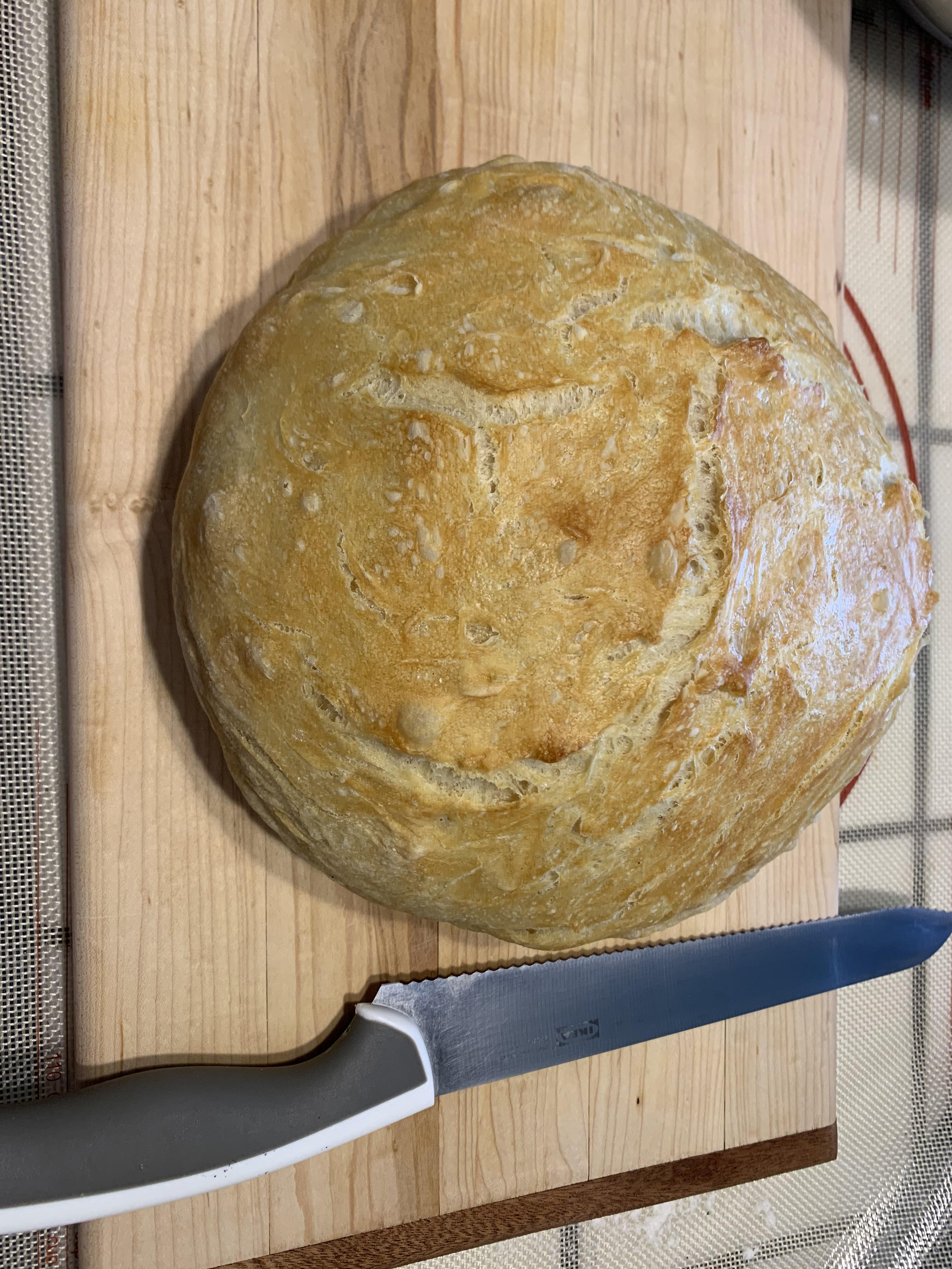 Was inspired by this sub (and my abundance of free time) to make a simple Dutch oven bread ...