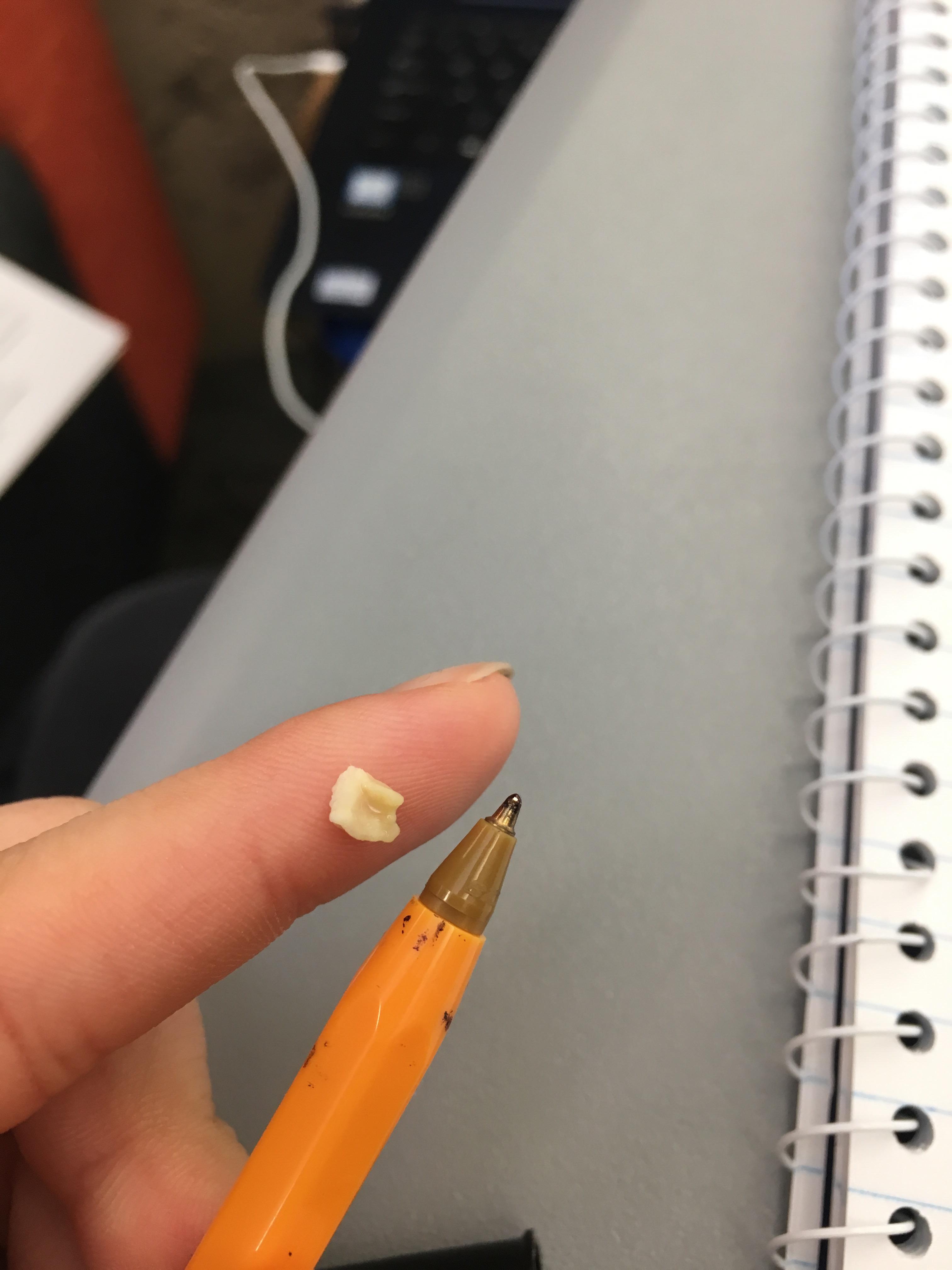 Was studying in the library when this popped out. Medium sized; comparison next to a ball point ...