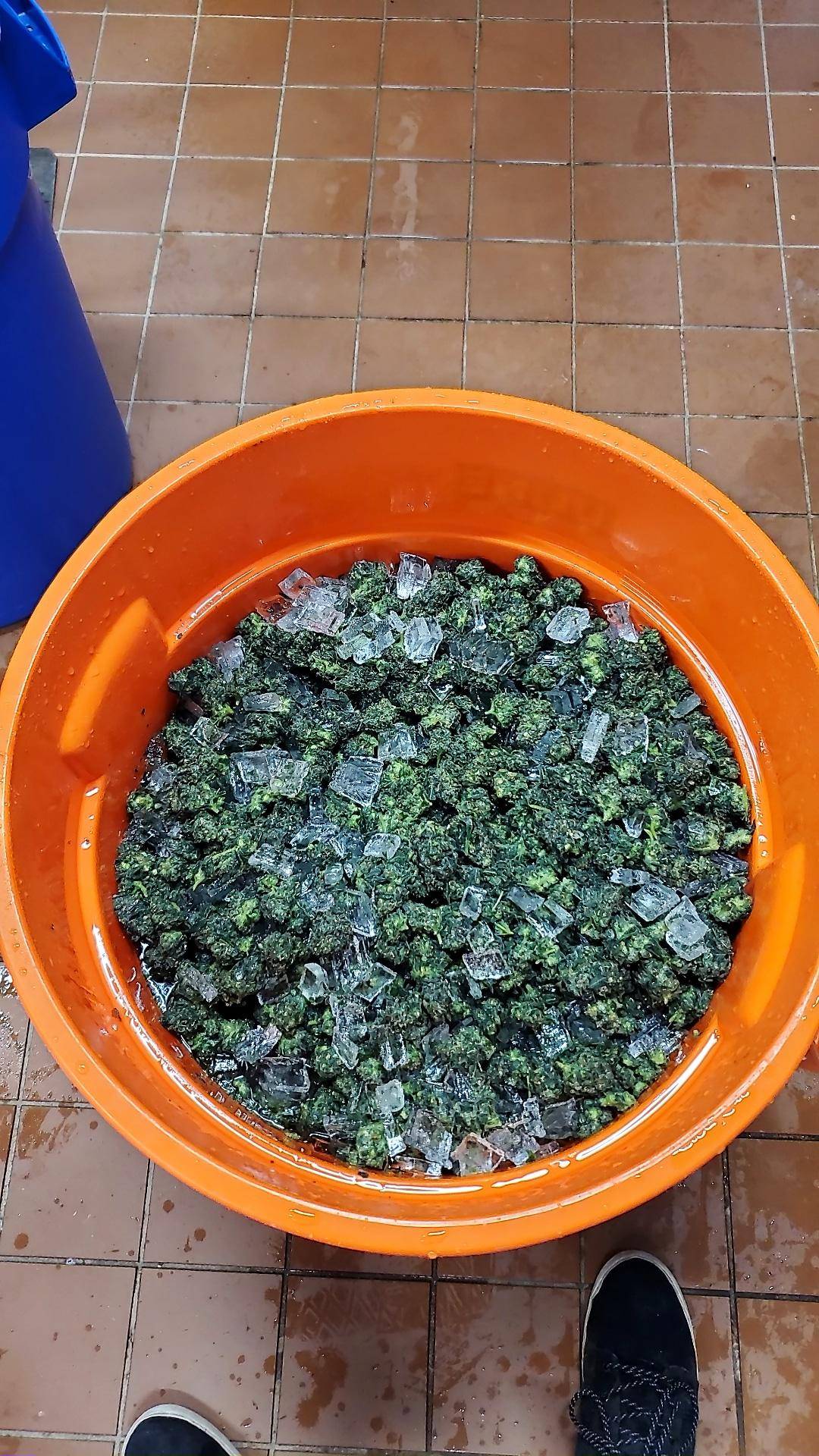 Wash Day!!! MPK5 | Scrolller