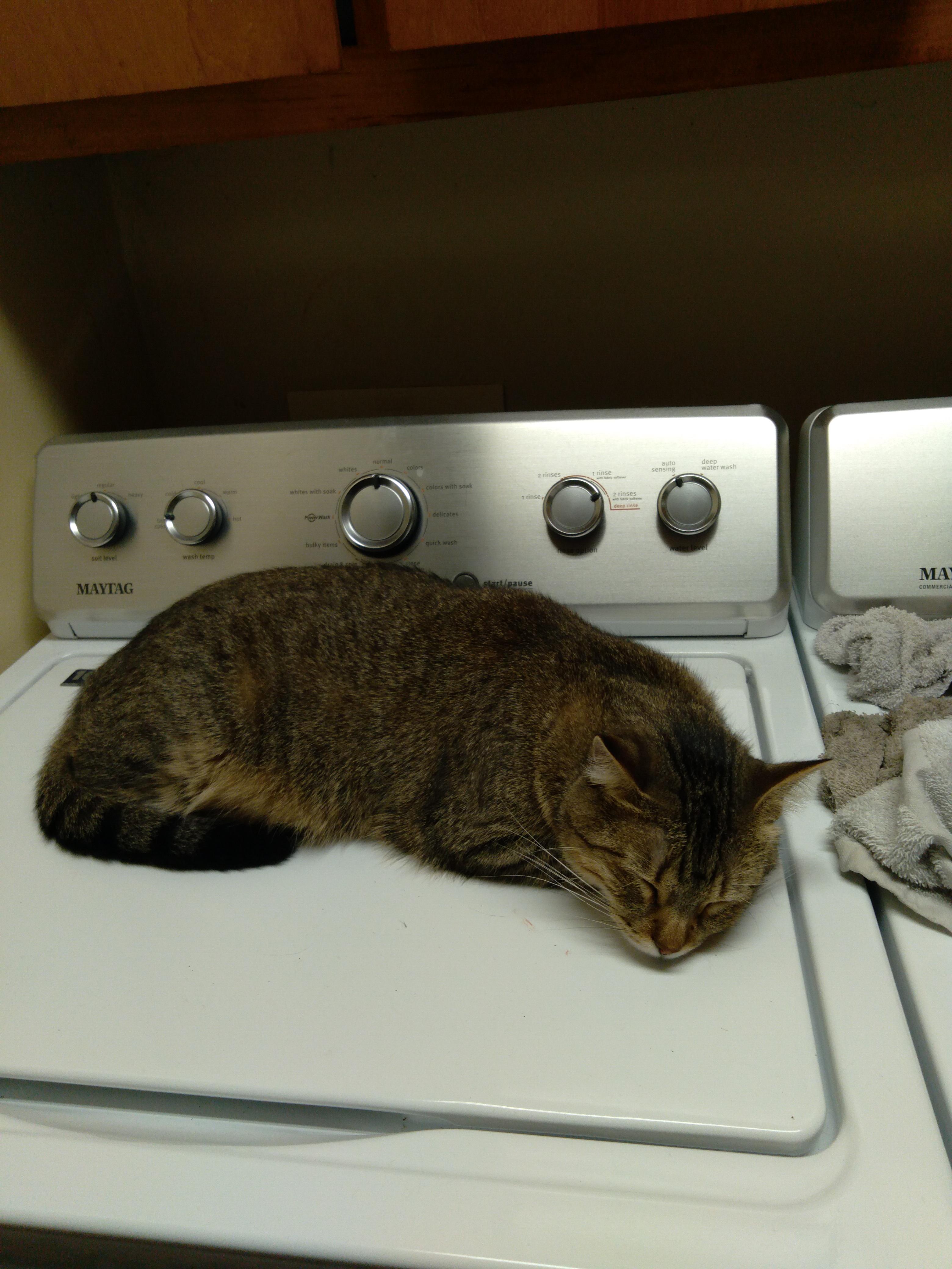 Washing machine | Scrolller