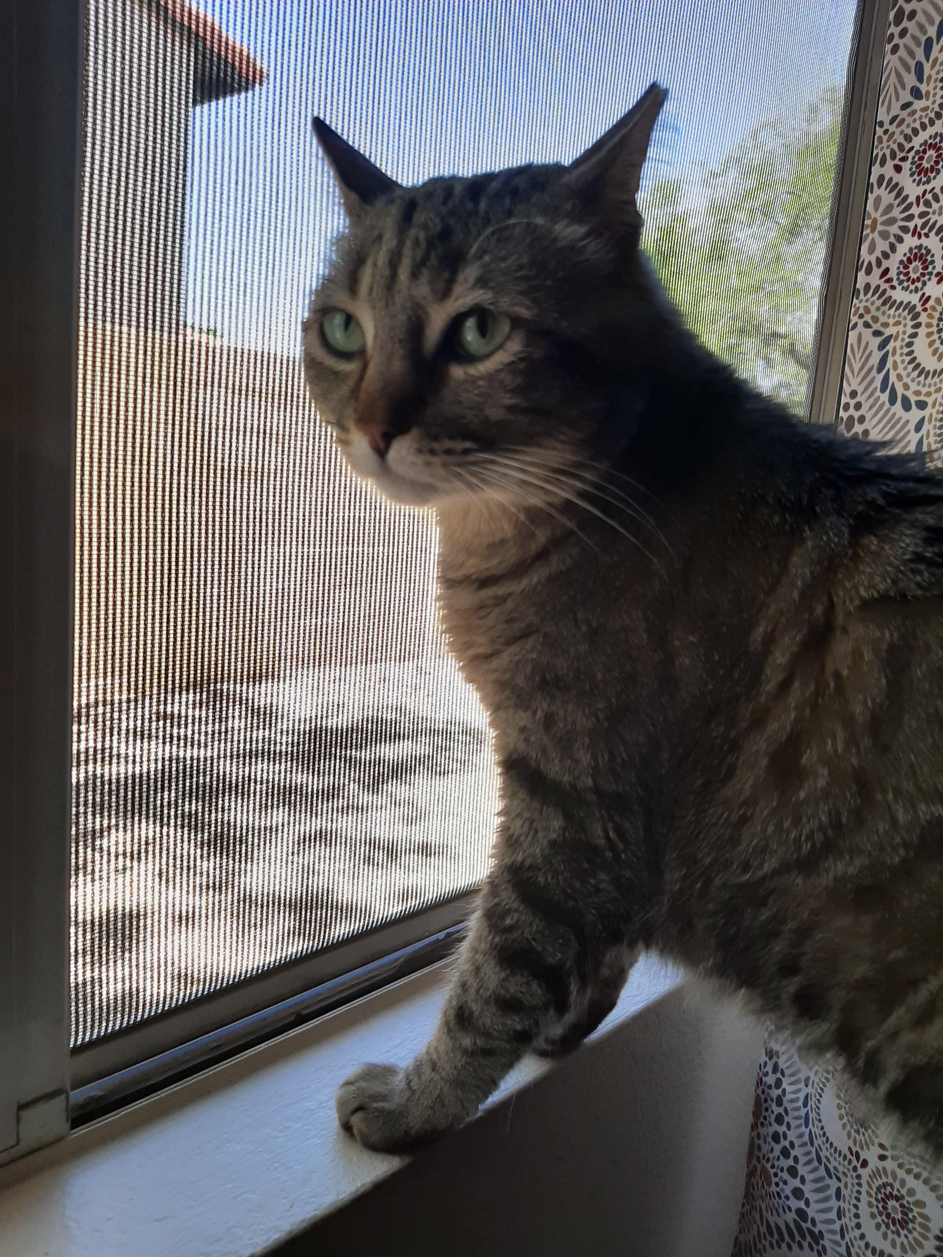 Watching birds | Scrolller