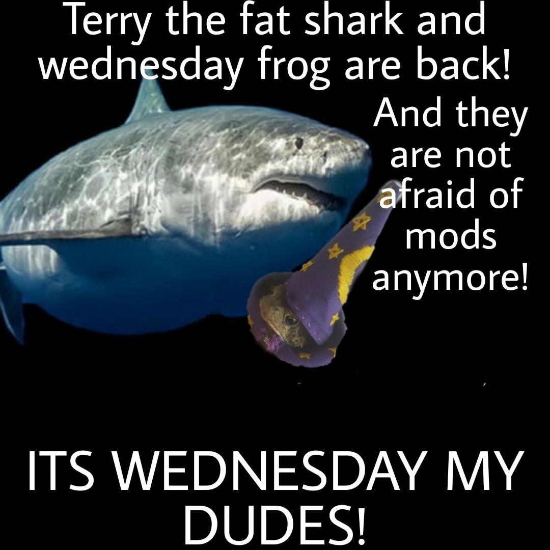 We are not afraid anymore | Scrolller