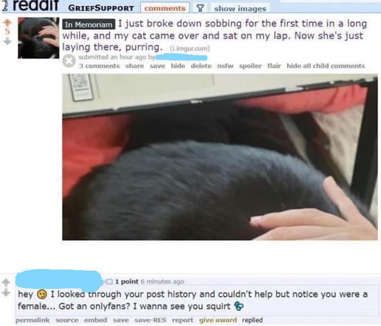 We are reaching peak levels of cringe. | Scrolller