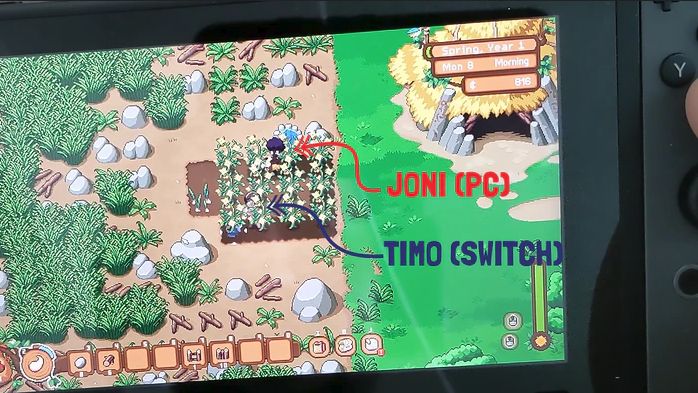 We bring our life/farm simulator game to Nintendo Switch | Scrolller