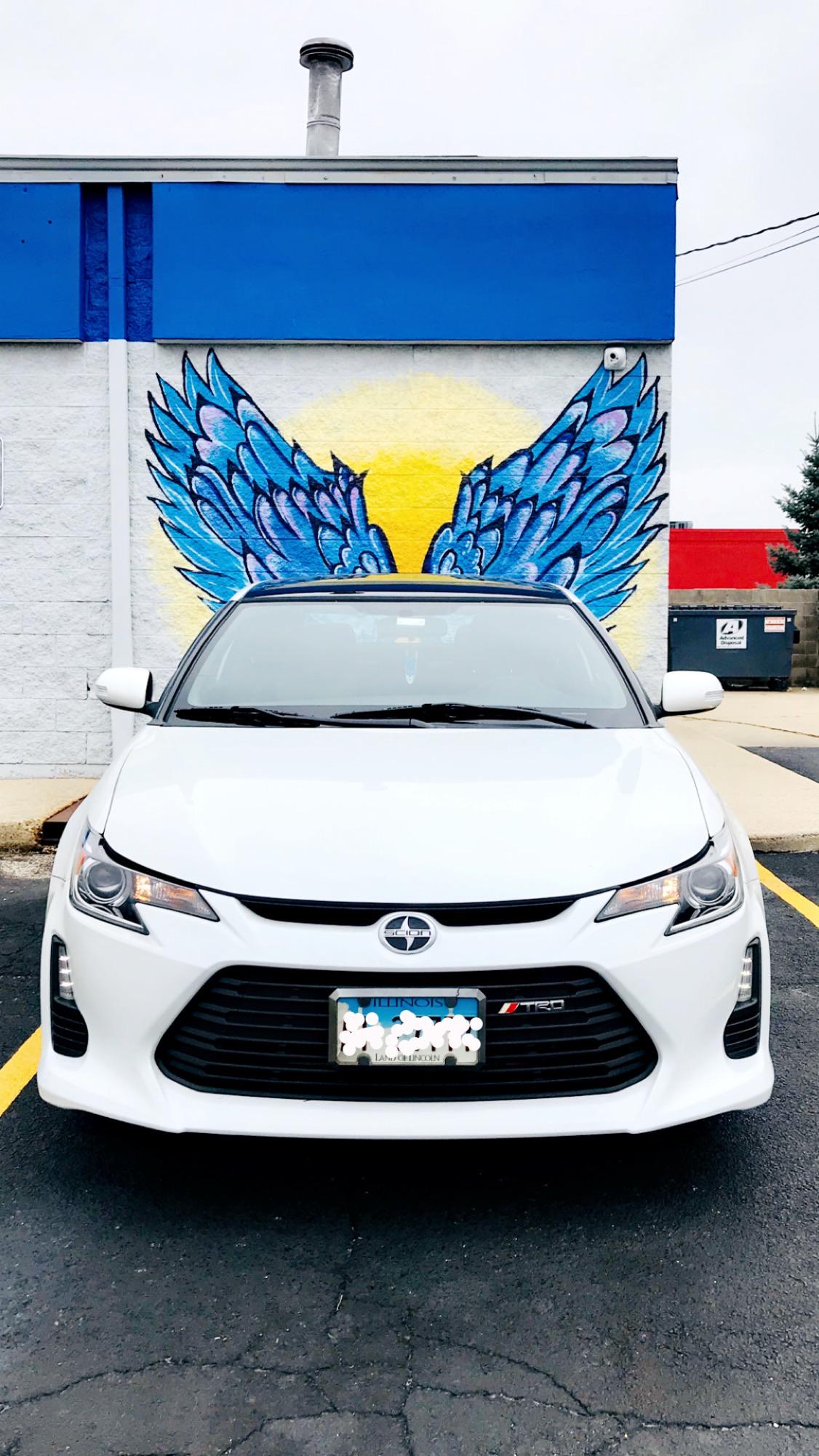 We fly high | Scrolller