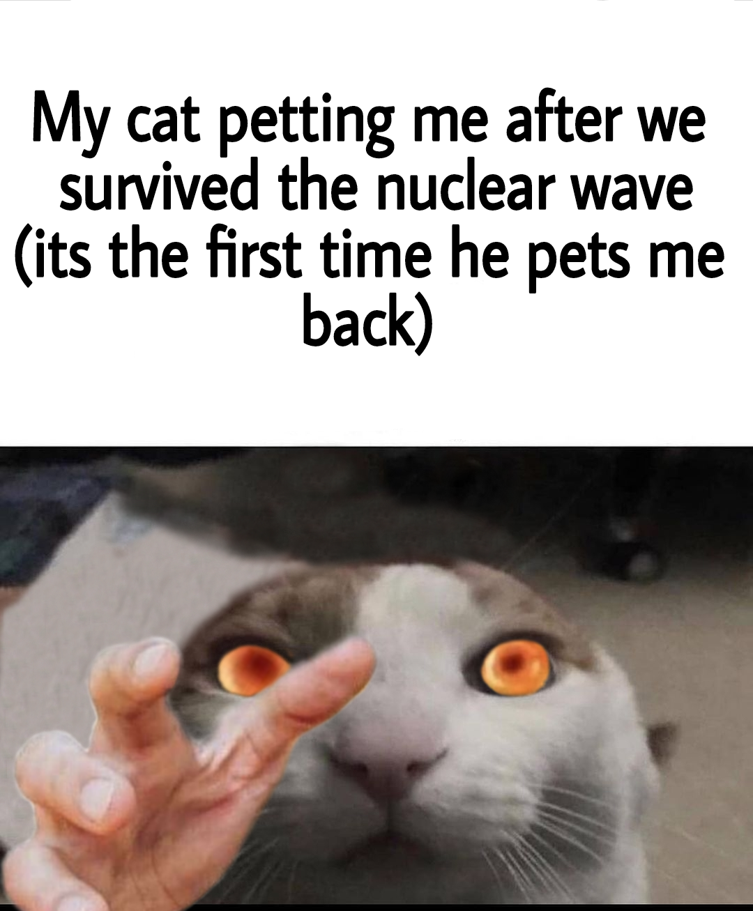 We survived! | Scrolller