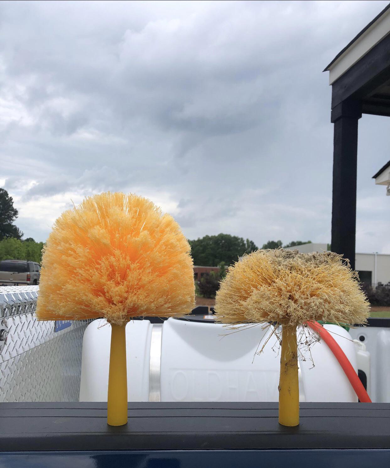 Web Duster | Scrolller