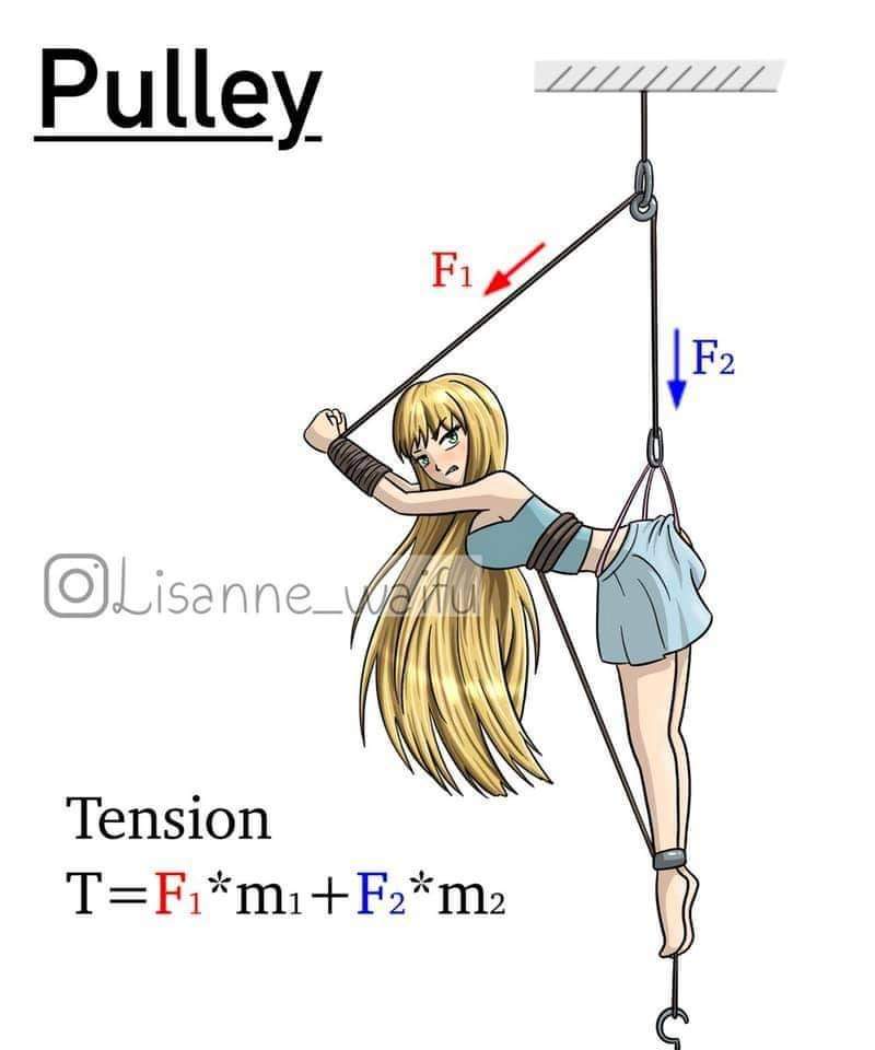 Wedgie with science | Scrolller