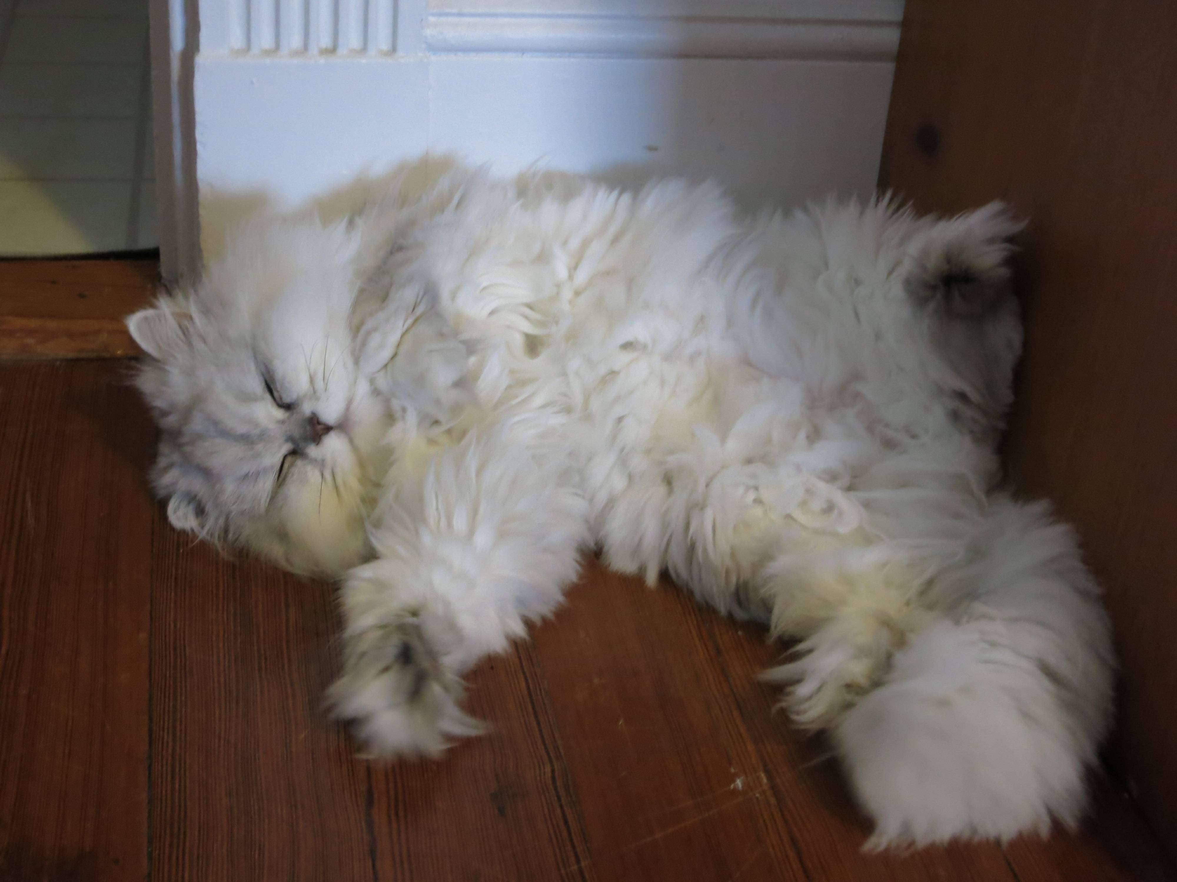 weird pose | Scrolller