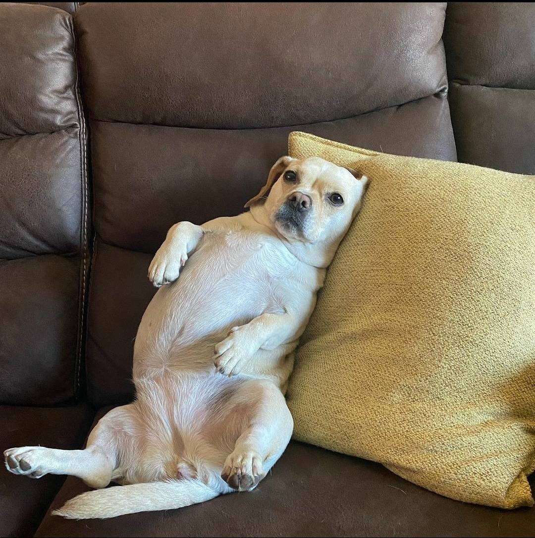 Weird position, I know. But too lazy to move. | Scrolller