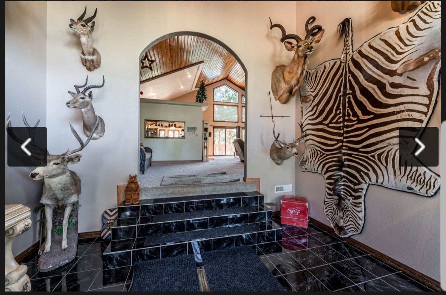 Welcome to your own personal safari | Scrolller